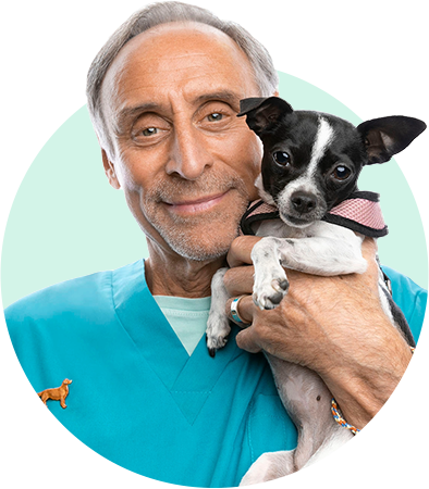 Try Dr. Marty - As Seen on TV